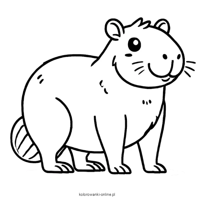 Kapibara kolorowanka - kolorowanki-online.pl